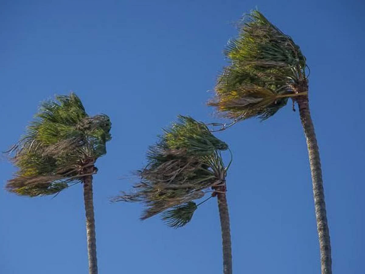 Winds Shake Dodger Stadium Foul Pole and More - Dodgers Tailgate